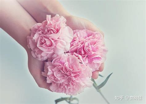 急性肠胃炎诱发因素到底是什么 知乎
