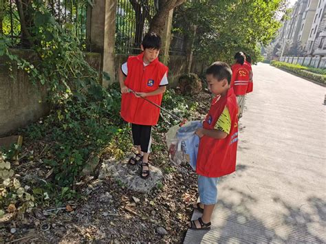 枫林社区党群服务中心：开展“青少年暑期环境卫生清理，我是小小志愿者”活动。