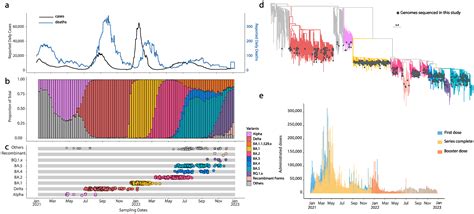 From Emergence To Evolution Dynamics Of The Sars Cov 2 Omicron Variant