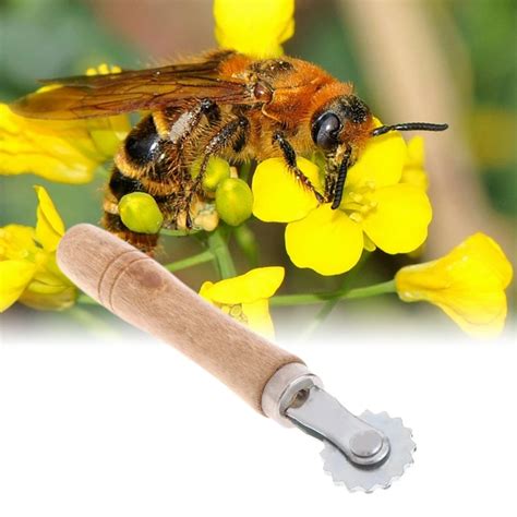 1 Pcs Beekeeper Bee Hive Equipment Beekeeping Embedder Wheel Gear Spur