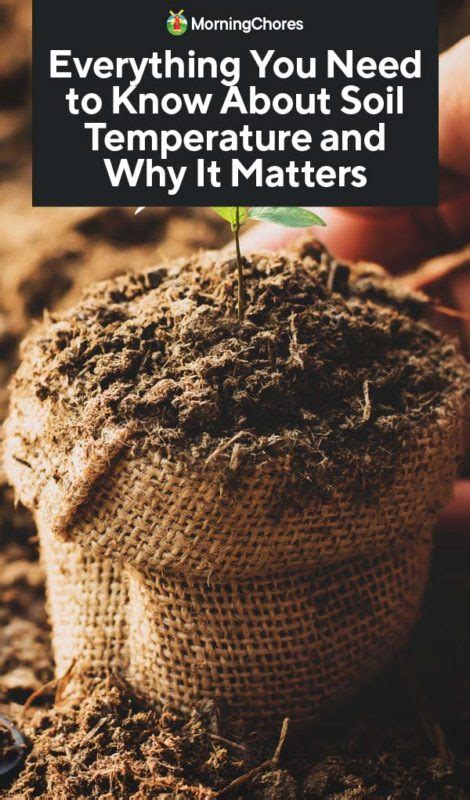 Everything You Need To Know About Soil Temperature And Why It Matters