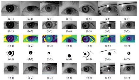 Sensors Free Full Text A Pupil Segmentation Algorithm Based On Fuzzy Clustering Of