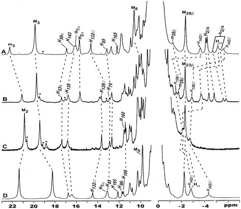 Solution 1h Nmr Investigation Of The Active Site Molecular And