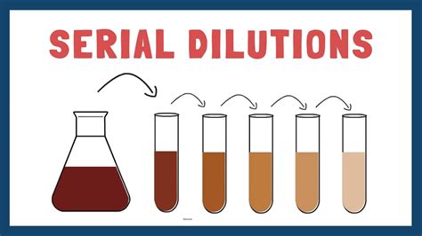 Serial Dilutions Microbiology Youtube