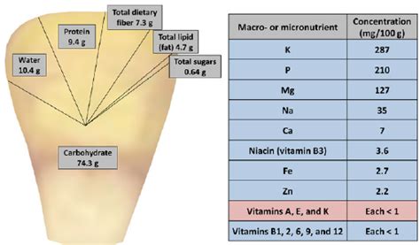 Maize Kernel Composition Per 100 G Major Constituents In Left Figure