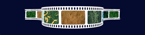 Film Strip Gallery R Csshelp