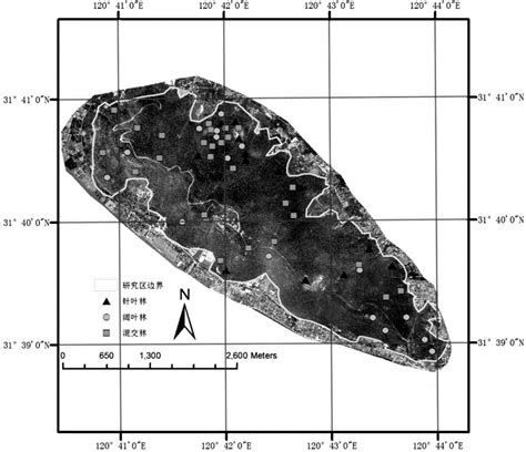Method For Inverting Remote Sensing Forest Biomass Eureka Patsnap