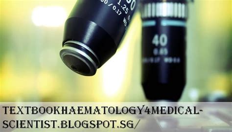 Pbmc Isolation Using Lymphoprep
