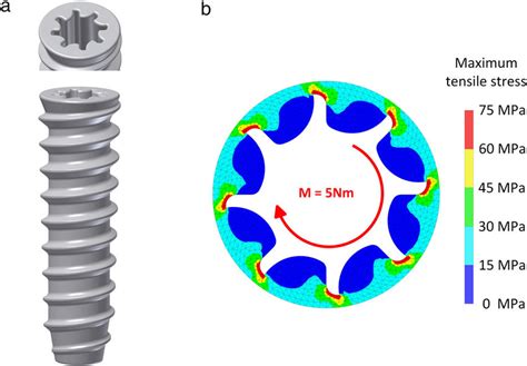 A Optimized Screw Design Using Finite Element Analysis Fea Download Scientific Diagram