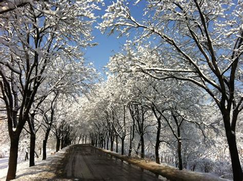2012的那一场春雪 桔瓣网