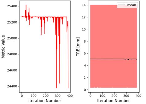 what are the valid input parameters of the different optimization