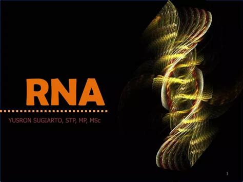 PPT RNA PowerPoint Presentation Free Download ID