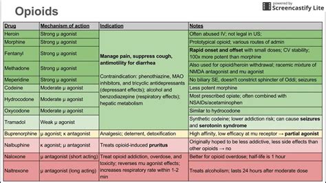 Opioid Receptor Artofit
