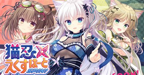 漩涡社猫忍系列又回来啦最新作猫忍えくすはーとSPIN 预告公开 月幕Galgame