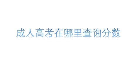 成人高考在哪里查询分数 360新知