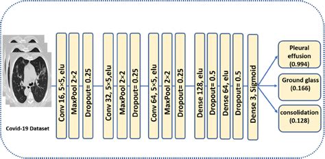 The Proposed Cnn Model For Multi Label Classification Of Infection Download Scientific Diagram