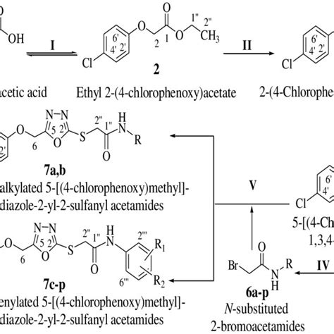 Scheme 1 Outline For The Synthesis Download Scientific Diagram