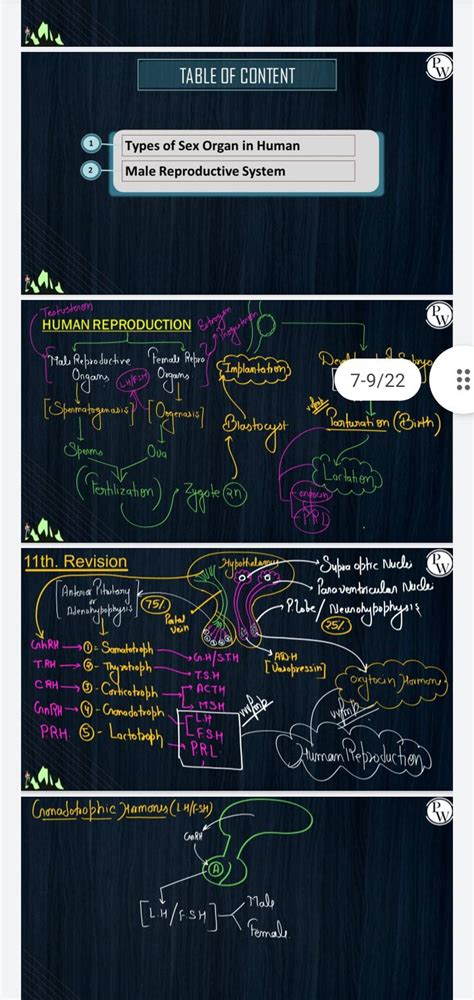 TABLE DF CINTENT Types Of Sex Organ In Human Male Reproductive System Tht