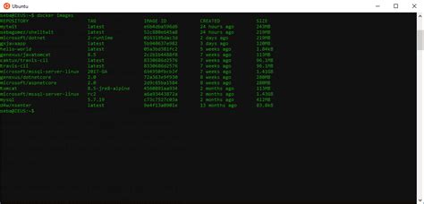 installing the docker client on windows subsystem for linux ubuntu by sebastian gomez medium