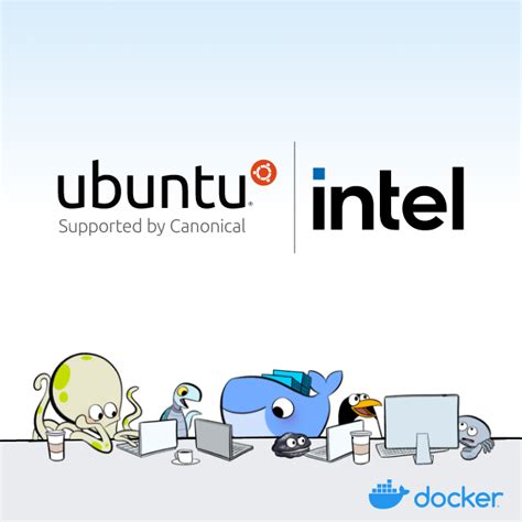 How To Colorize Pictures With Openvino™ On Ubuntu Containers Docker