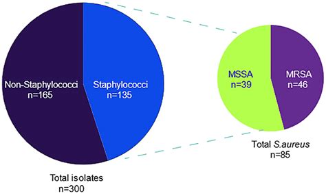 Prevalence Of Mrsa Isolates In Bovine Milk A Total 300 Samples Of