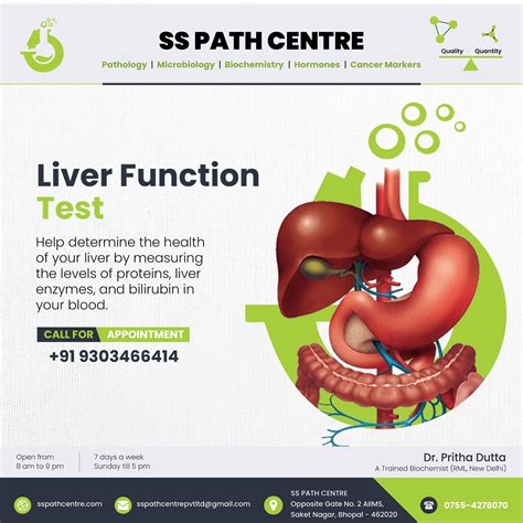 Liver Function Test Liver Function Test Holistic Health Remedies Liver