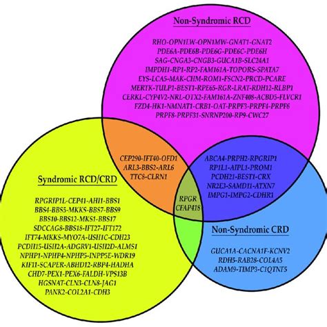 Venn Diagram Representation Of The Overlap Of Genes Between Different Download Scientific