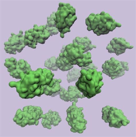 Figure 1 From Understanding Intermolecular Structure And Forces In Concentrated Protein