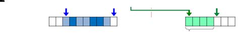 C Standard Library Removal Algorithms Hacking C