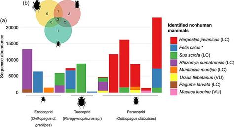 Dung Beetle Idna As An Additional Tool For Biodiversity Assessment