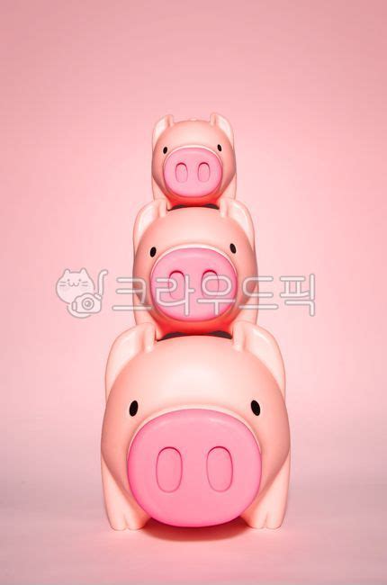 돼지저금통 저축 투자 성장 자산 사진이미지일러스트캘리그라피 Tdrc작가