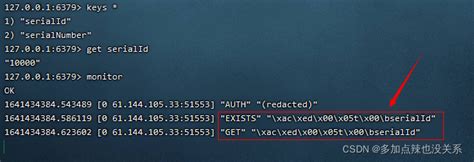 redis 中我存入了数据，为什么获取不到 redis存进去了但是读不到 csdn博客