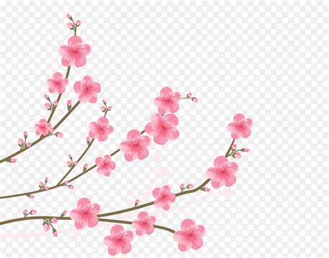 粉色桃花树枝矢量图PNG图片素材下载 图片编号ymvarvjq 免抠素材网