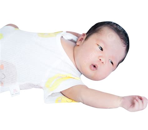 신생아 귀여운 아기 귀여운 초상화 갓난아기 갓난애기 갓난아이 Png 일러스트 및 이미지 에 대한 무료 다운로드 Pngtree