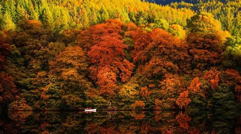 טיולי סתיו אלה המקומות הכי יפים לראות שלכת באירופה וואלה תיירות