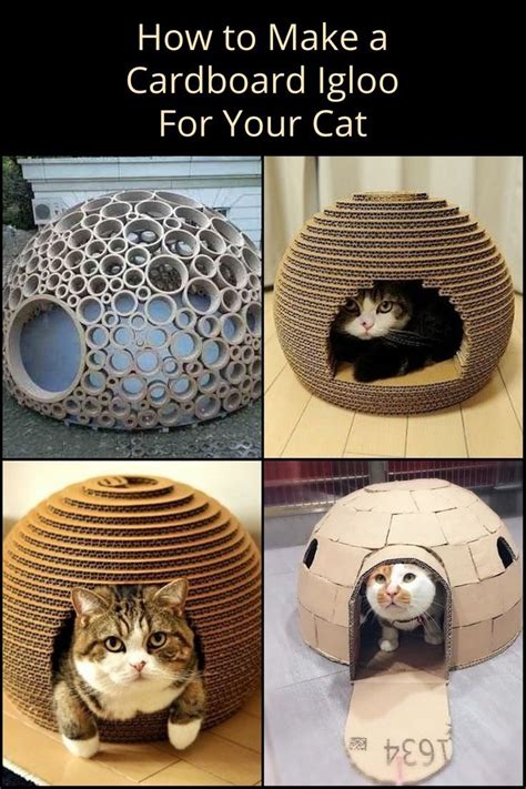 Make A Cardboard Igloo For Your Cat In 7 Effective Steps Cardboard