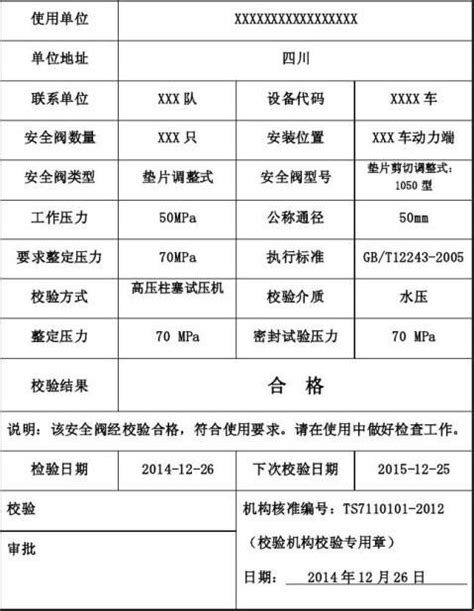 安全阀检验报告范文118