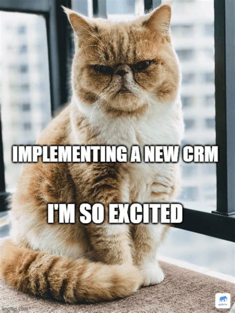 10 Funny Real Estate Crm Memes To Make You Laugh Out Loud Qobrix