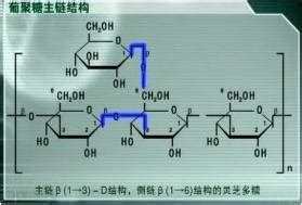 活性多糖图册 360百科