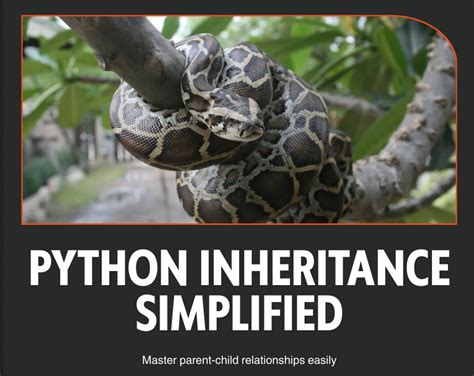 Mastering Python Imports And Module Management A Deep Dive Into Import