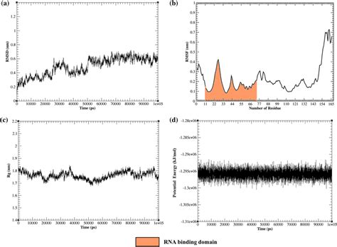 Stability Analysis Of Rpse Protein Using Molecular Dynamics Simulation