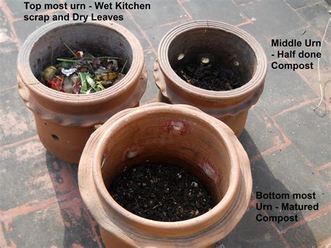 Red Ripe Tomatoes Make Your Own Homemade Compost The Pit Less Hassle Free Way