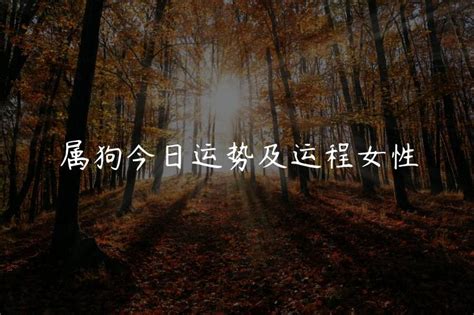 属狗今日运势及运程女性属狗今日运势及财运运程 星座蛙