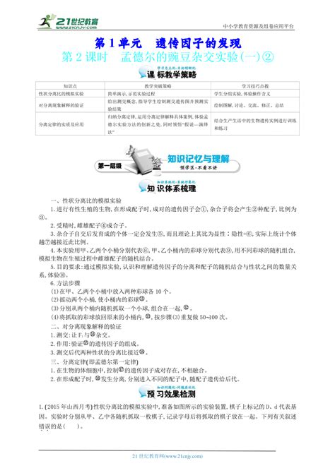 人教生物必修2导学案：第1单元 遗传因子的发现 第2课时 孟德尔的豌豆杂交实验 一 ②（含答案） 21世纪教育网