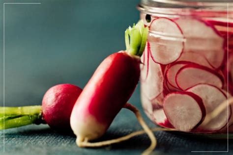 Ways To Use And Preserve Fresh Radishes ~ Simple At Home