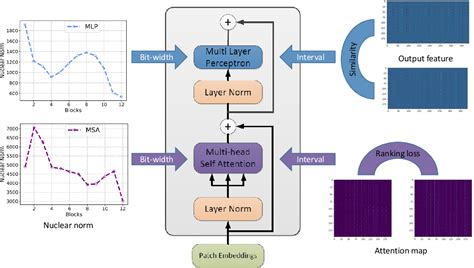 Figure 1 From Post Training Quantization For Vision Transformer