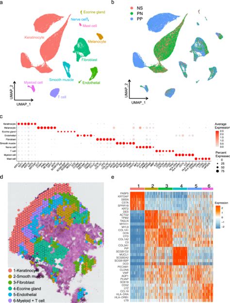 Kutty Selva Nandakumar Phd Dsc On Linkedin Single Cell And Spatial Sequencing Define