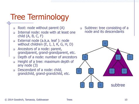lecture 8 iterators trees ppt download