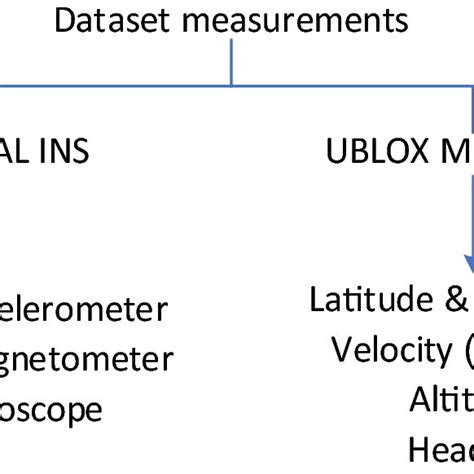 Local Dataset Structure Dataset Measurements Are Carried Out By Download Scientific Diagram