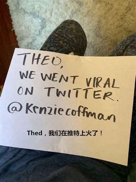 网友家的猫每天都会在窗口等待邻居家的猫，这是什么神仙爱情啊？凤凰网